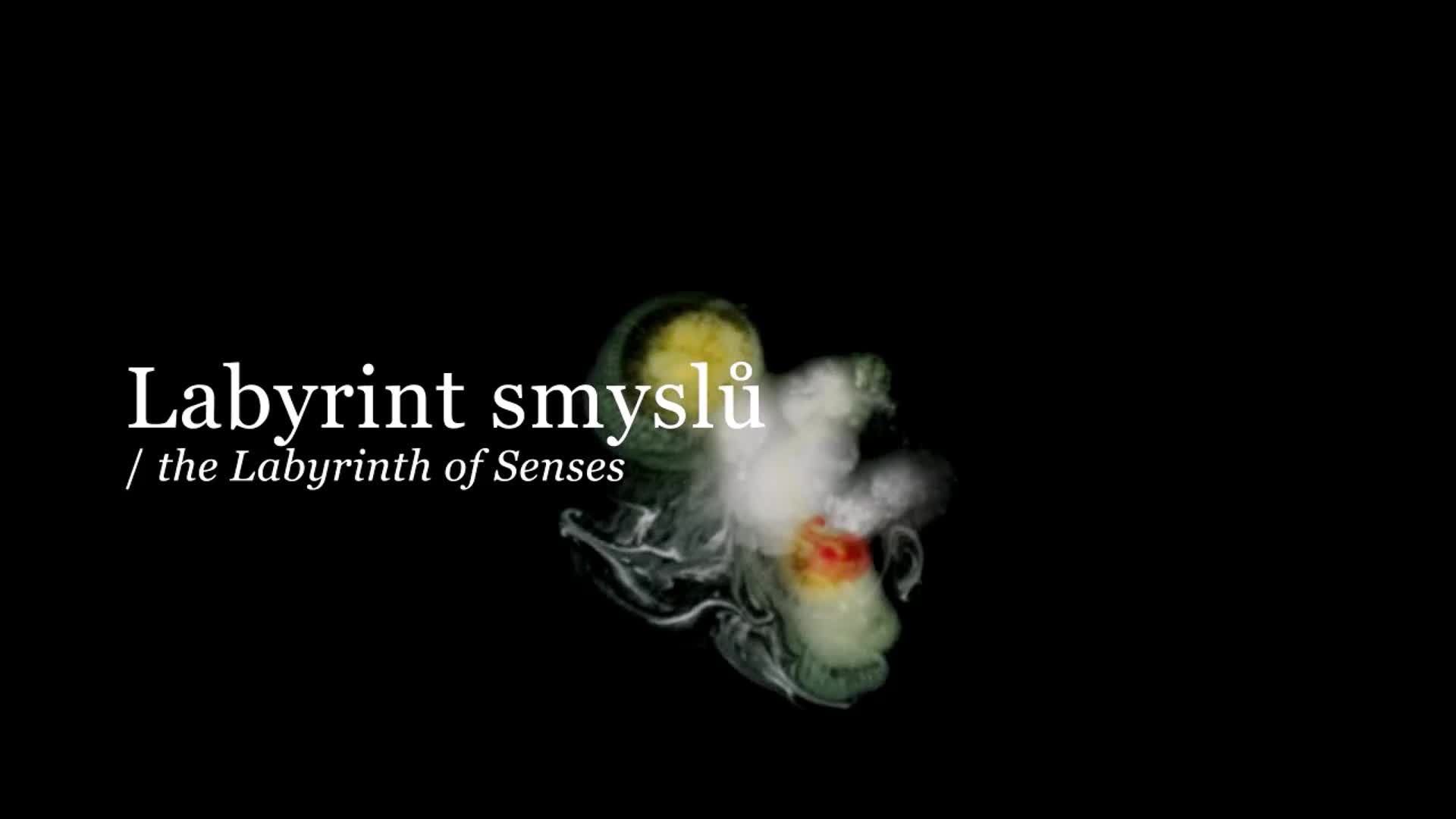 Labyrinth of Senses | 3dsense